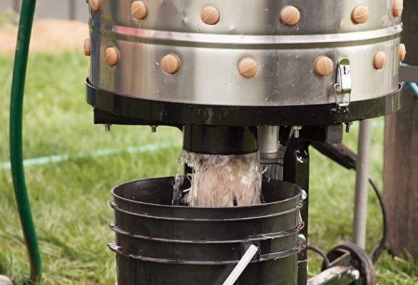 Top 5 Best Chicken Pluckers 2022: Reviews & Buyer Guide - Sand Creek Farm