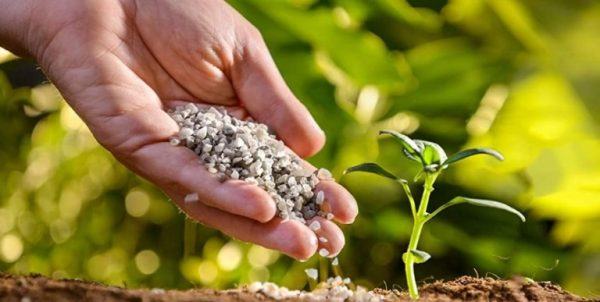 Top 3 Best 12-12-12 Fertilizers 2022: Reviews & Buyer Guide - Sand ...