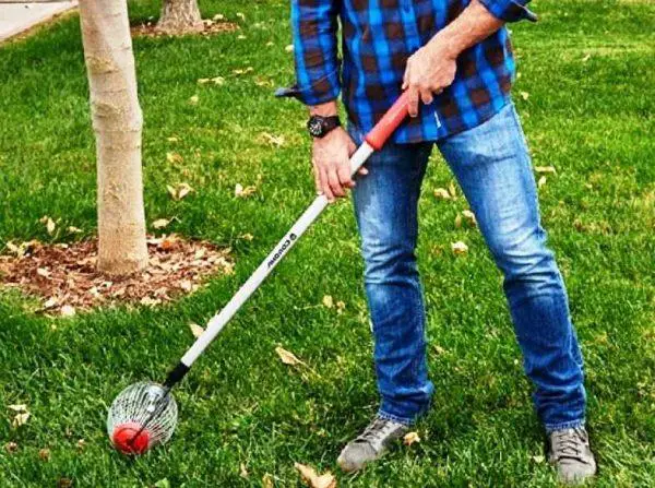 Top 7 Best Rake for Acorns Reviews (2022 Updated) - Sand Creek Farm