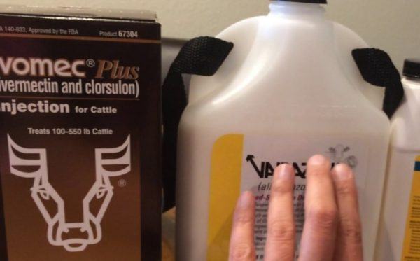 Ivomec Plus Dosage for Goats: Read This Before Use! - Sand Creek Farm