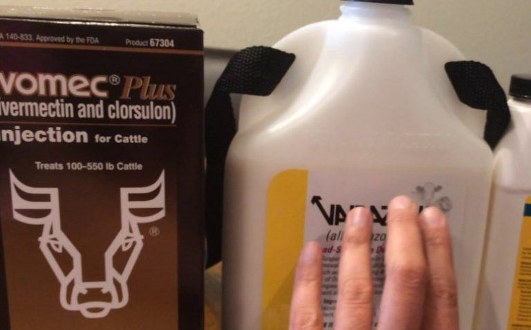 Ivomec Plus Dosage for Goats: Read This Before Use! - Sand Creek Farm