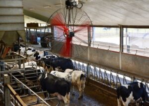 Top 7 Best Barn Fan for Cattle & Horse Stall Reviews (2022 Updated)