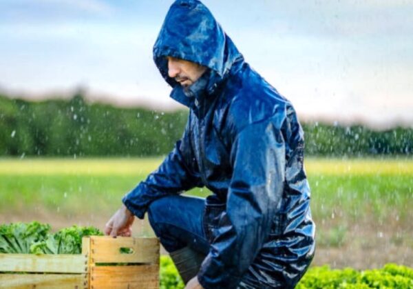 Top 4 Best Rain Gear for Farming Reviews (2022 Updated) - Sand Creek Farm